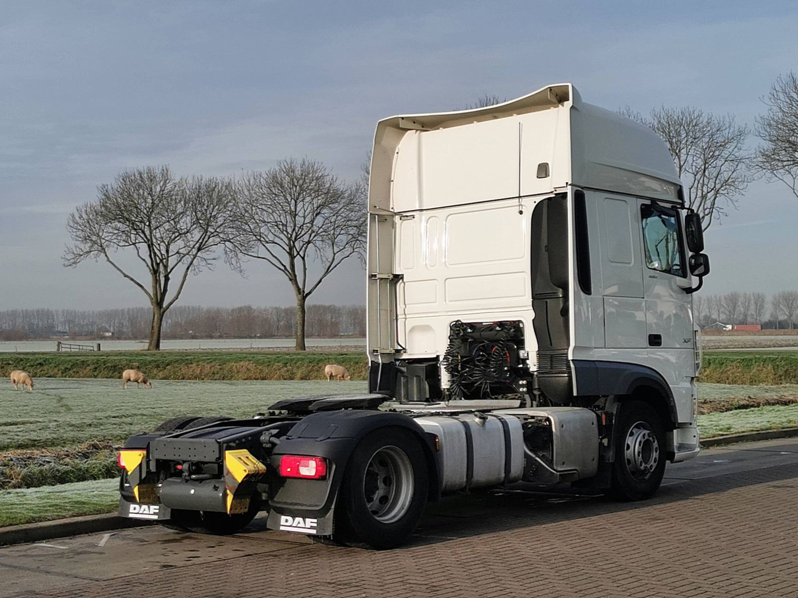 DAF XF 480 - Kleyn Trucks